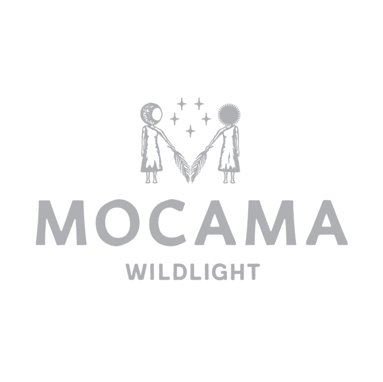 Wildlight | New Homes Now Selling in Northeast Florida
