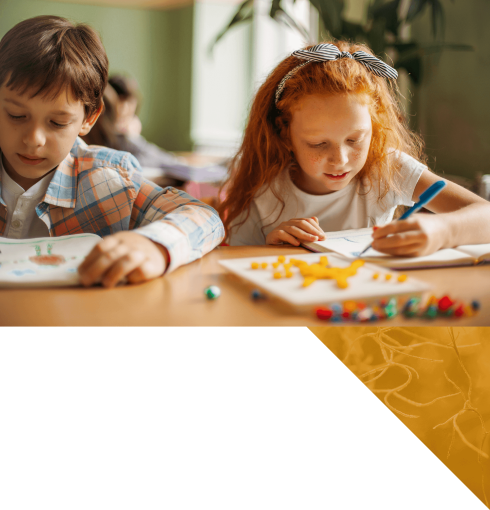 Education - Wildlight