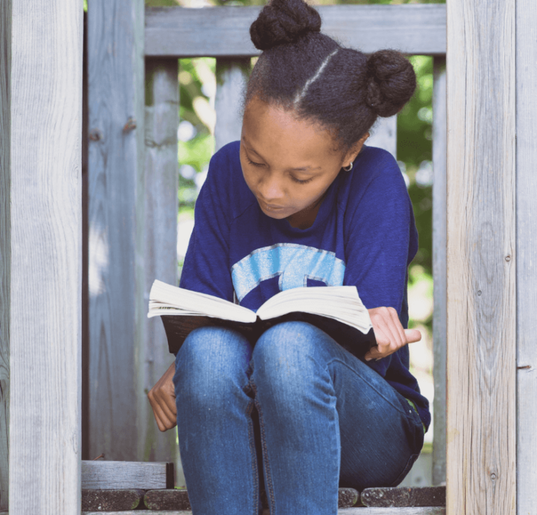 Education - Wildlight